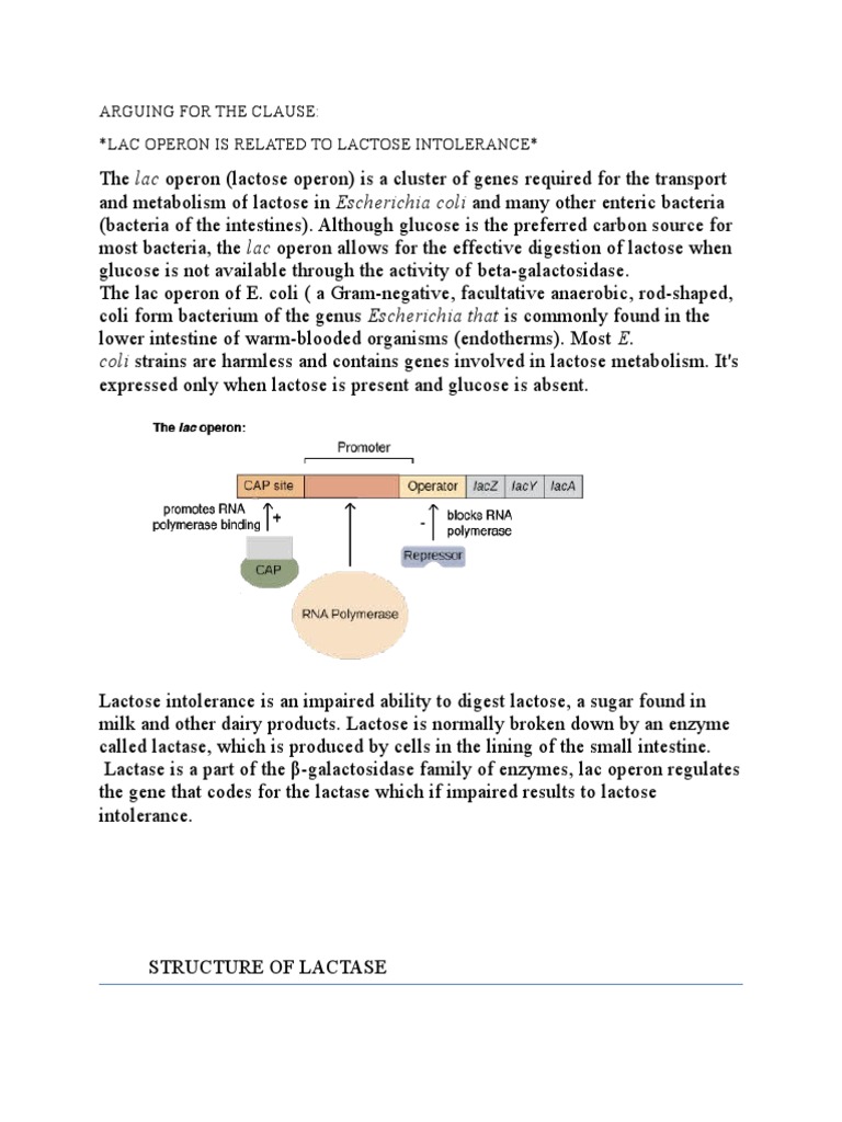 Assignment on Lac operon | PDF