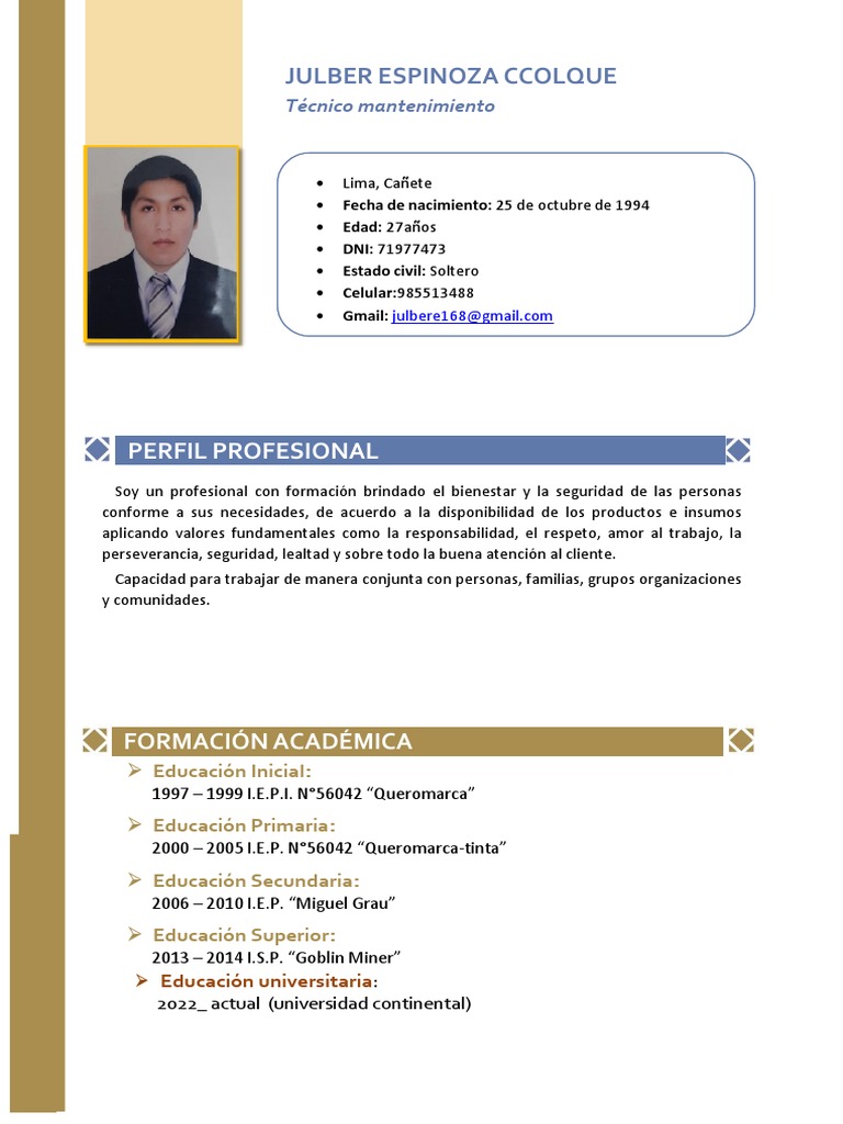 CV Tecnico Julber Espinoza | PDF