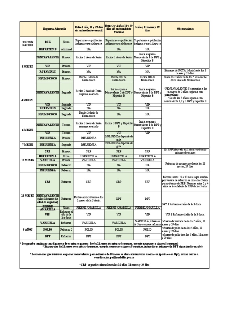 Esquema Pai | PDF | Infancia | Medicina