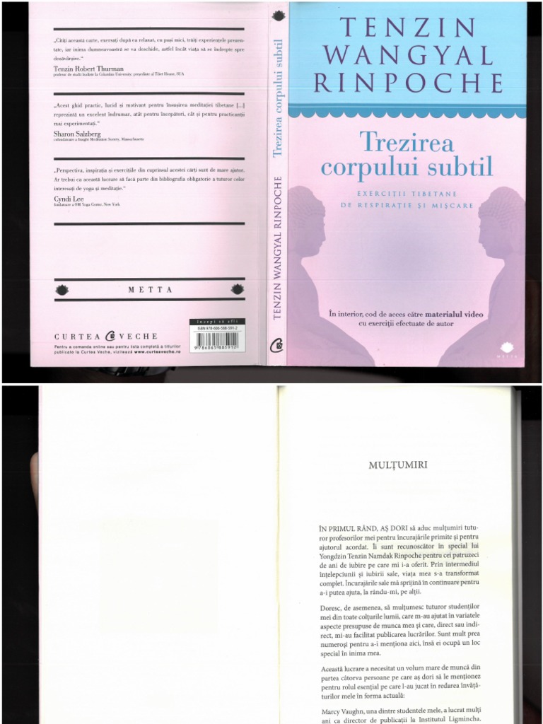 Trezirea Corpului Subtil | PDF