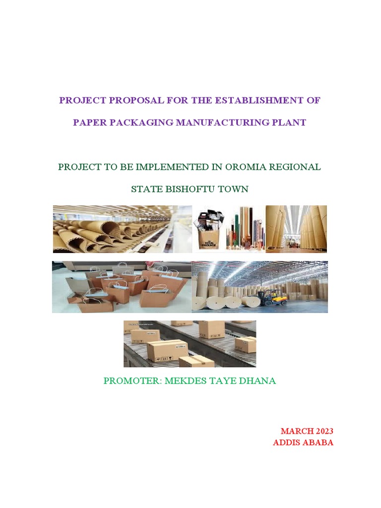 Mekdes Carton Project Bishoftu | PDF | Internal Rate Of Return ...
