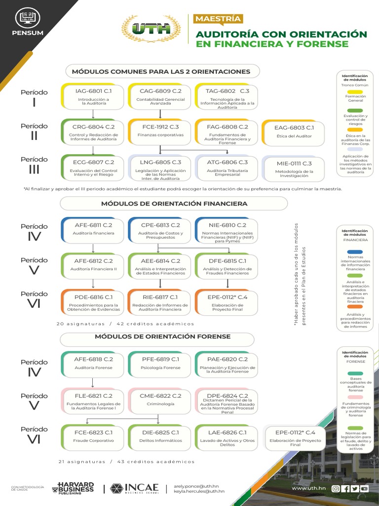 Maestría en Auditoría Financiera y Forense | PDF