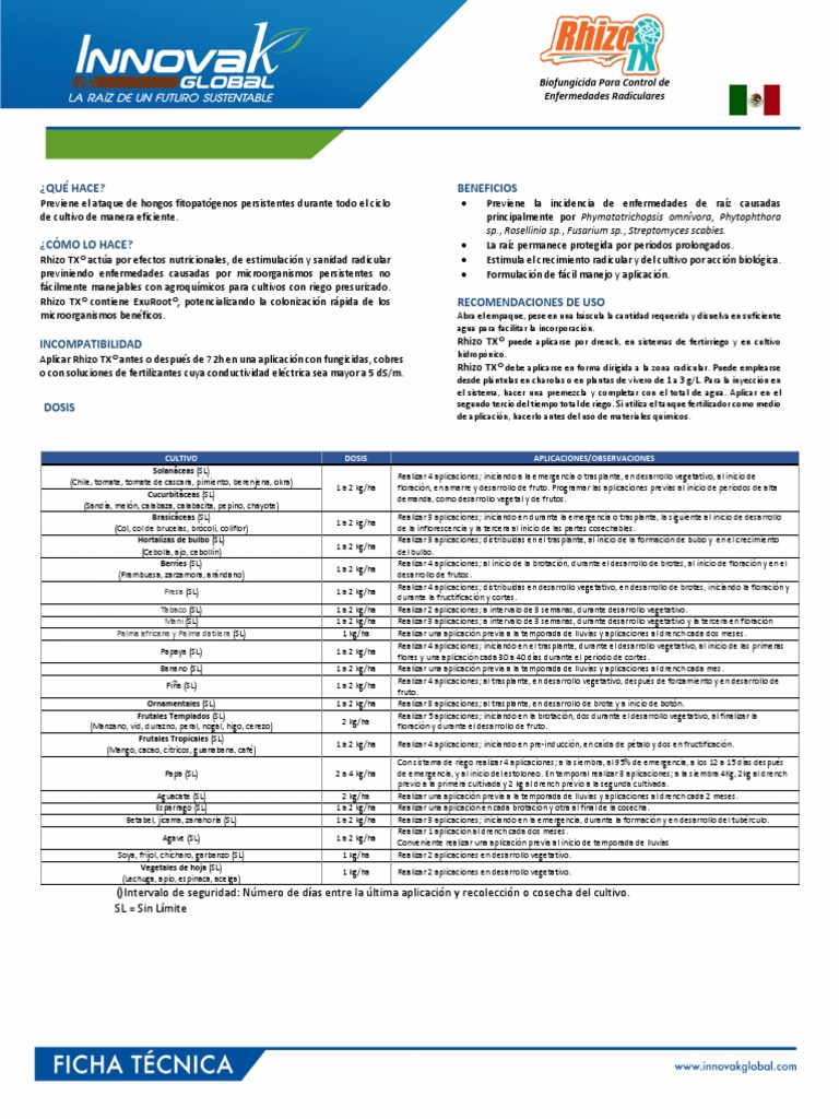 Rhizo TX MX Web | PDF | Plantas | Botánica