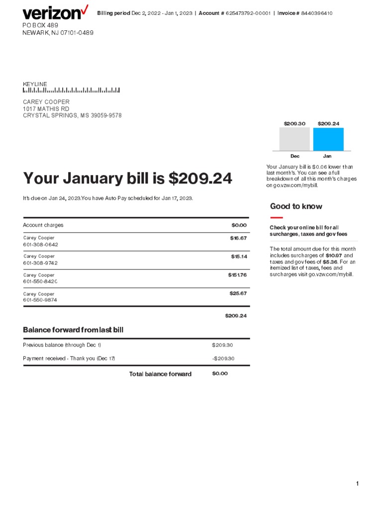 Dec Bill | PDF | Fee | Customer Proprietary Network Information