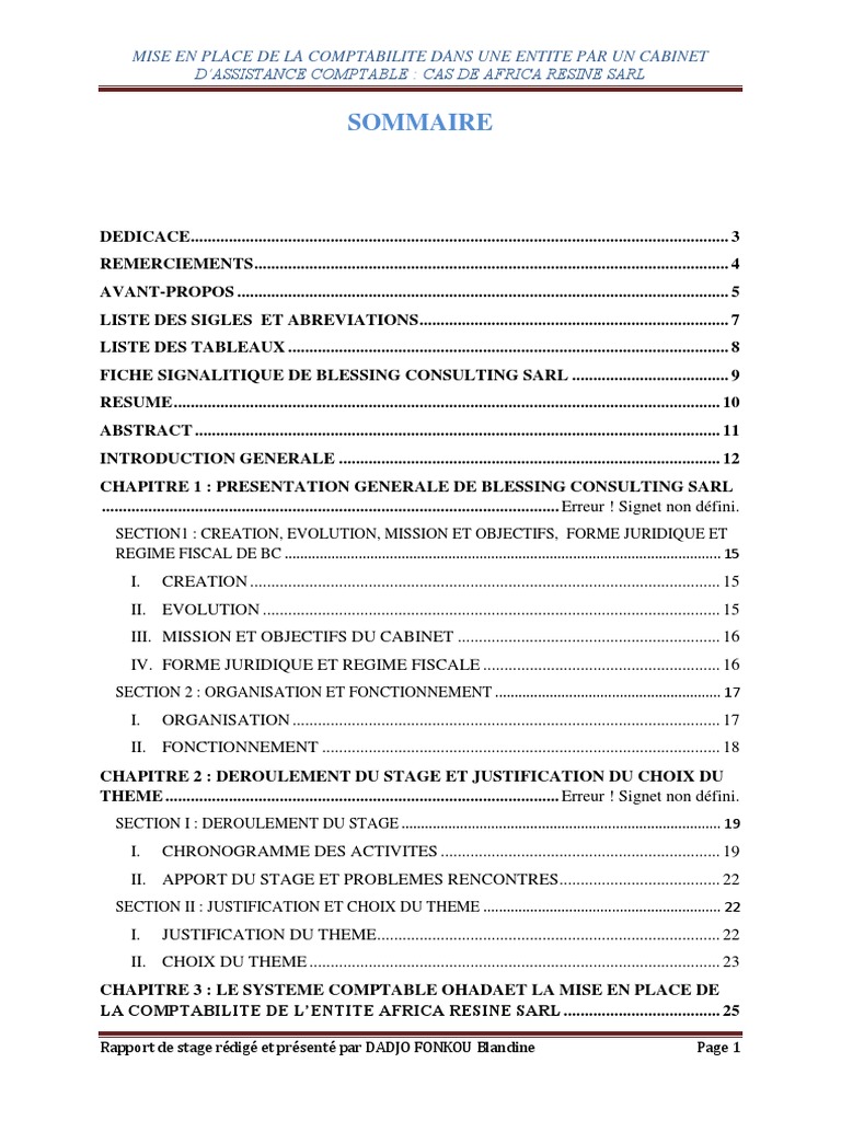 Rapport de Stage | PDF | Comptabilité | Business