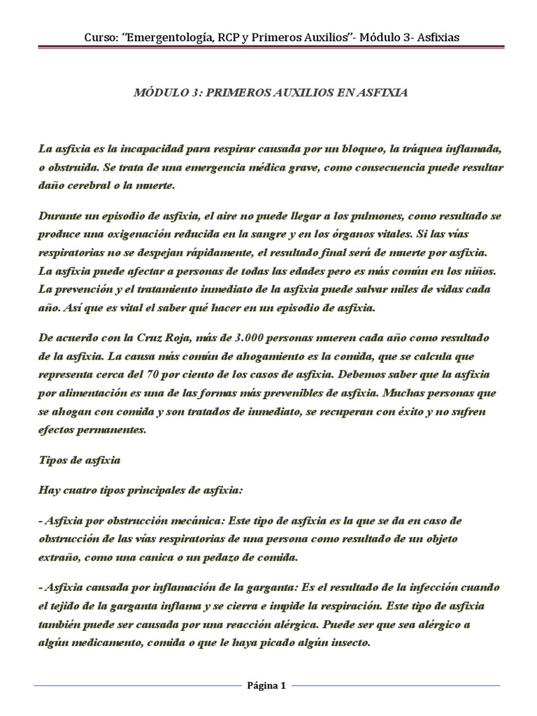 Primeros Auxilios en Asfixias (Libro) | PDF