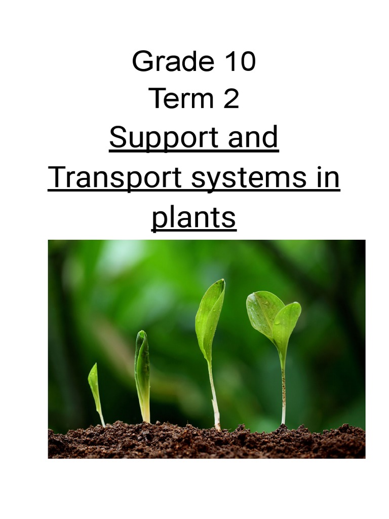 Grade 10 Term 2 Support and Transport Systems in Plants 5 | PDF | Plant ...