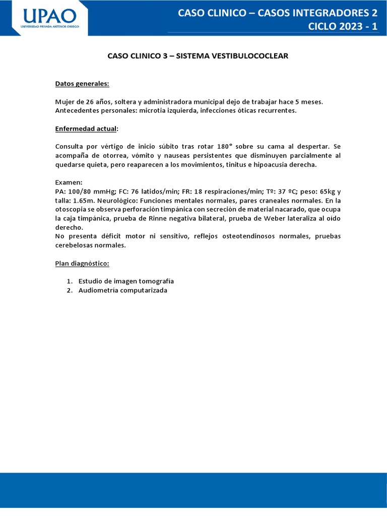 3cc Sistema Vestibulococlear Pdf