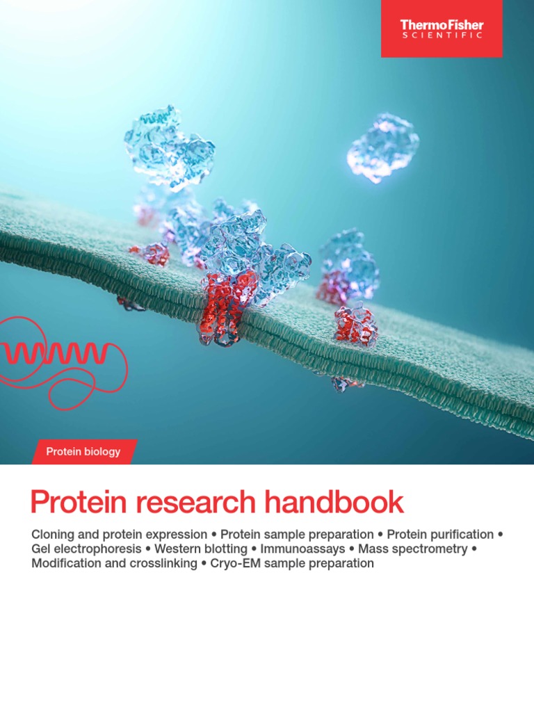 Comprehensive Protein Research Guide | PDF | Molecular Cloning ...