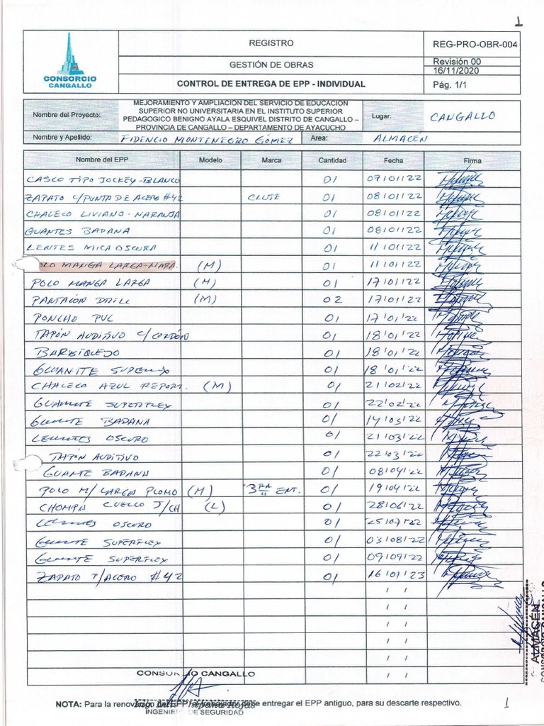 Constancia de Entrega de EPPs | PDF