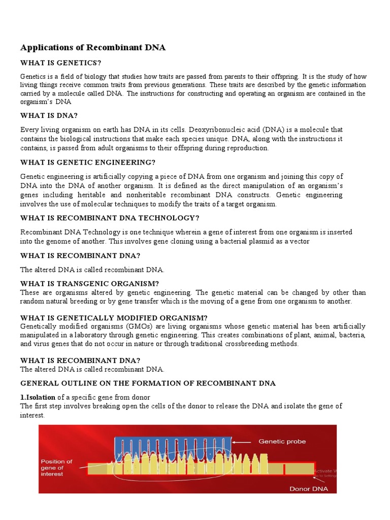 Applications of Recombinant DNA | PDF