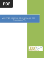 Estrutura do SIPAER e Atribuições | PDF | Aviação