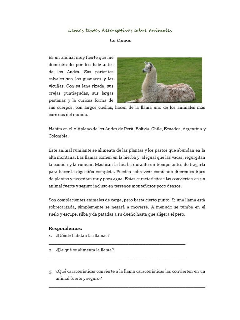 Lemos Textos Descriptivos Sobre Animales | PDF
