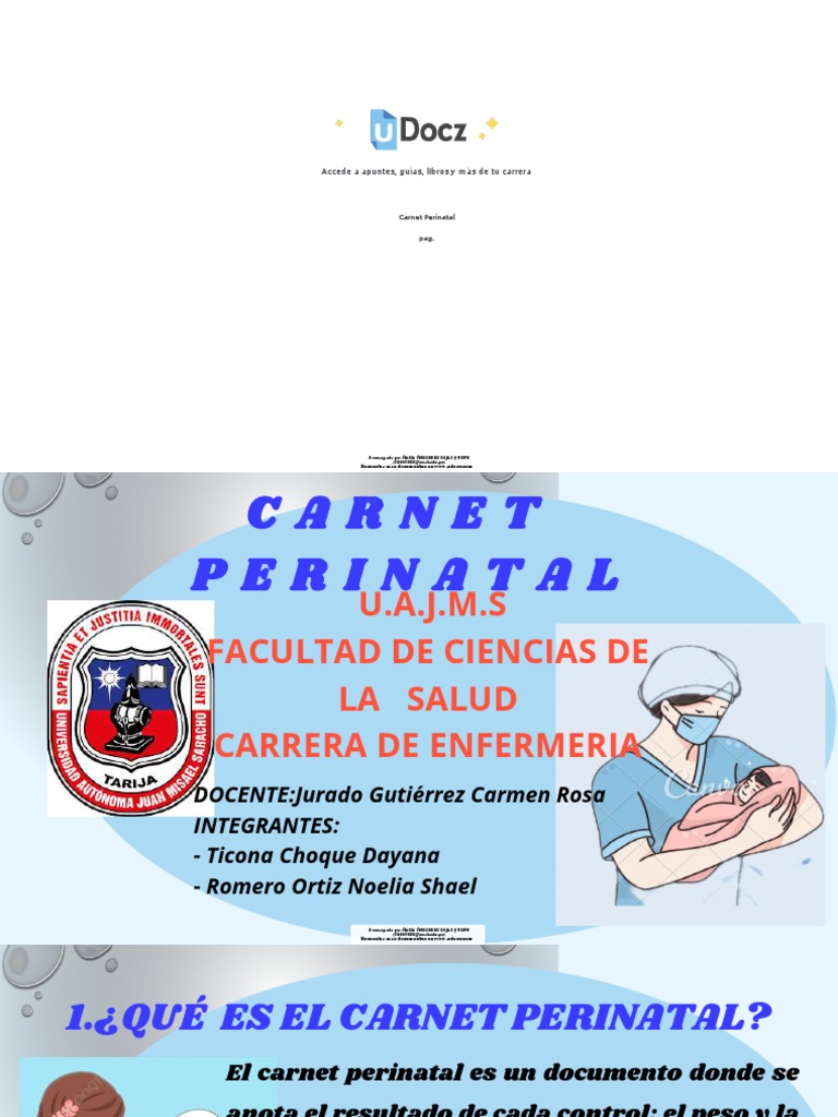 Guía del Carnet Perinatal en Salud | PDF | Parto | El embarazo