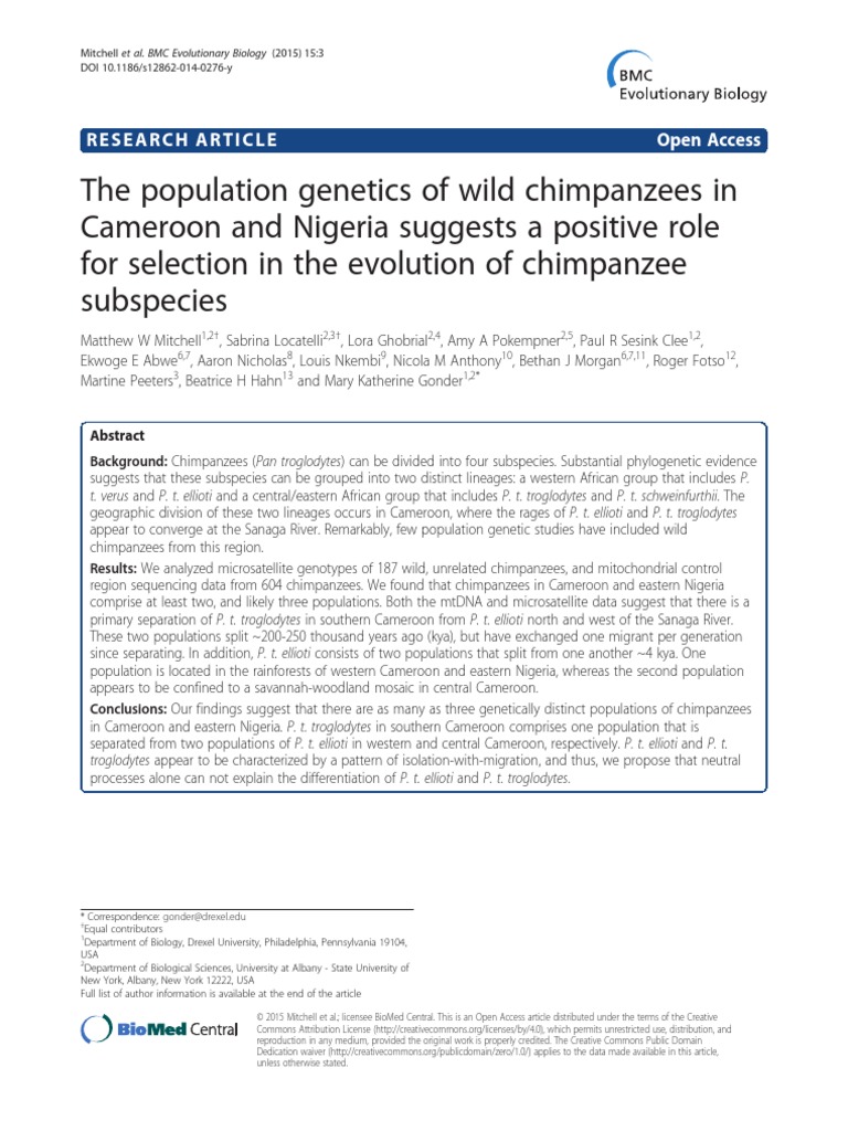 Chimpanzee Population Genetics in Cameroon | PDF | Haplotype ...
