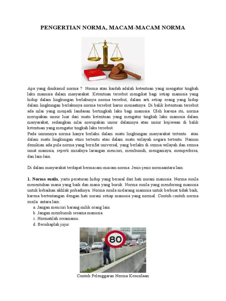 Pengertian Norma | PDF