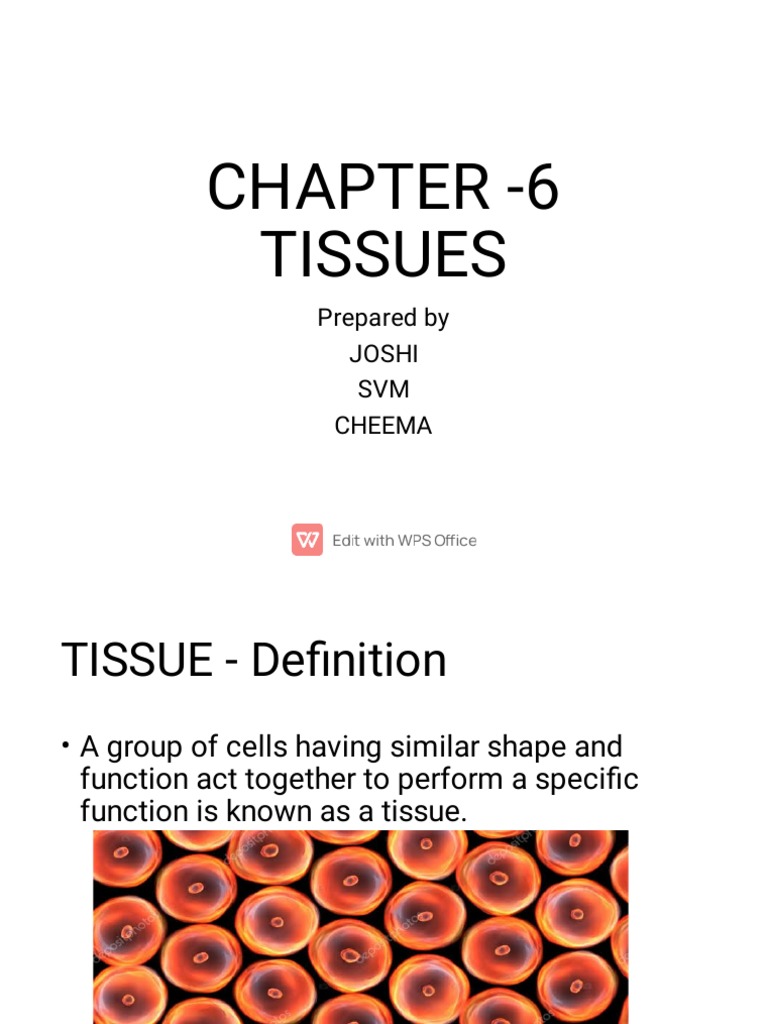 NCERT CLASS 9 CH-6 tissues | PDF | Tissue (Biology) | Leaf