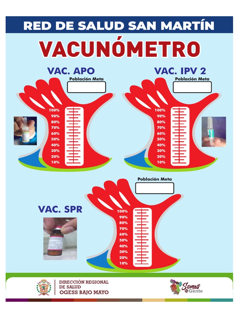 Modelo de Vacunómetro 2024 | PDF