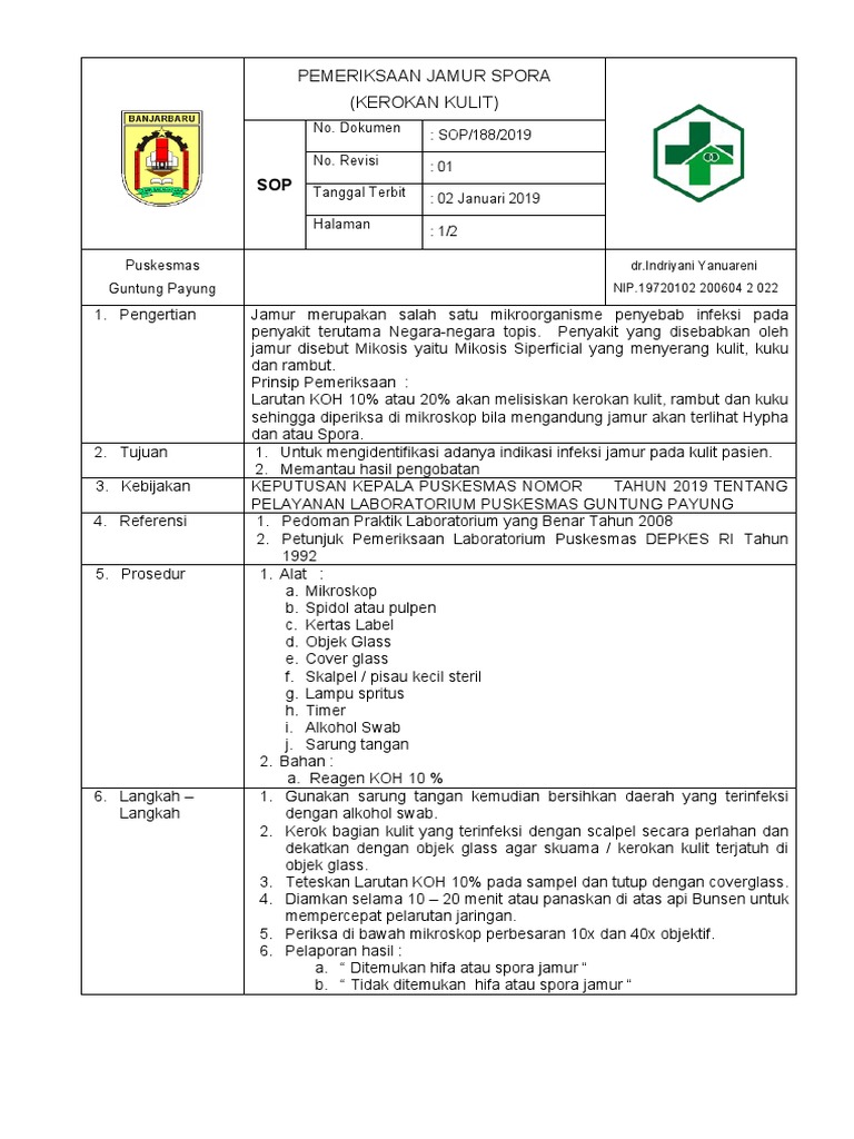 Pemeriksaan Jamur Kulit dengan KOH | PDF