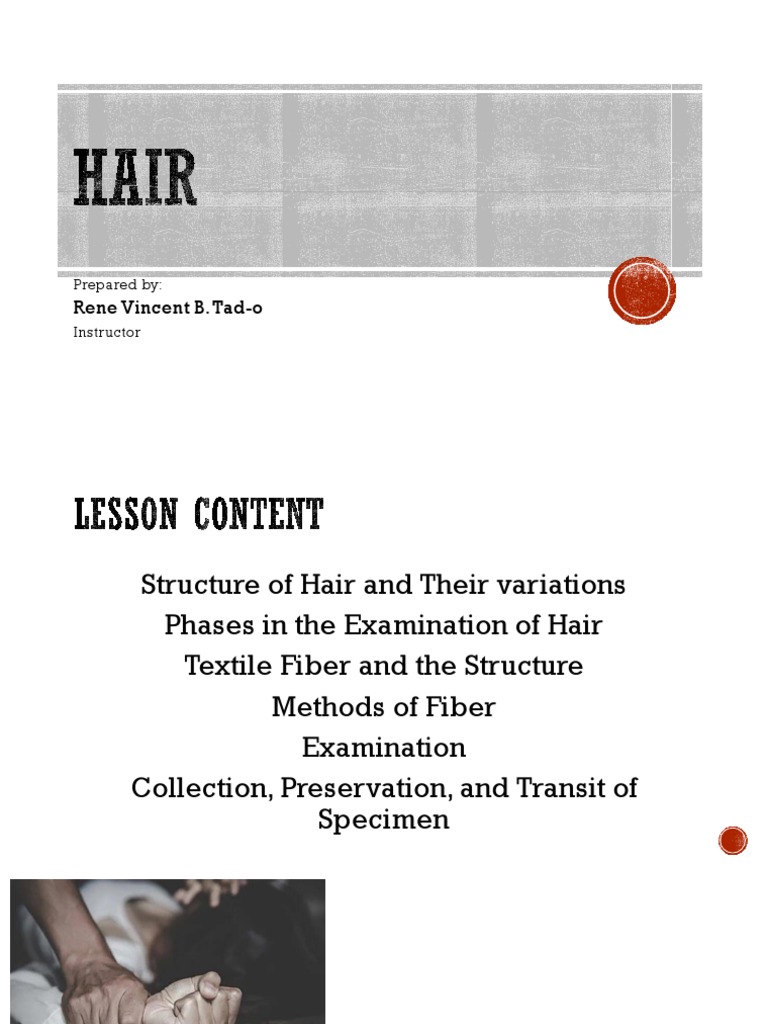 HAIR | PDF | Hair | Skin