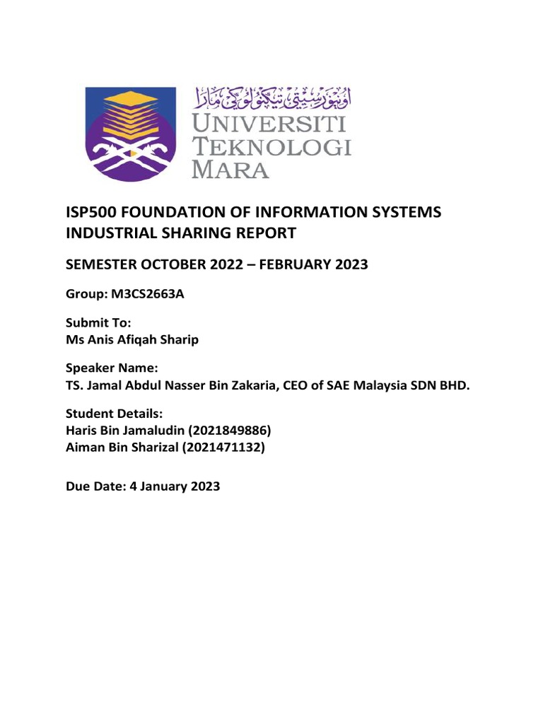 ISP500 Report Assignment | PDF