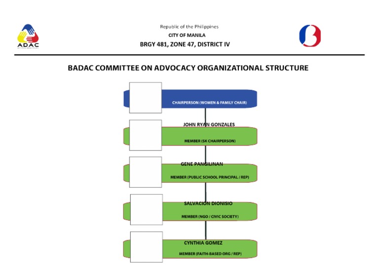 BADAC - Committee on Advocacy Organizational Structure | PDF