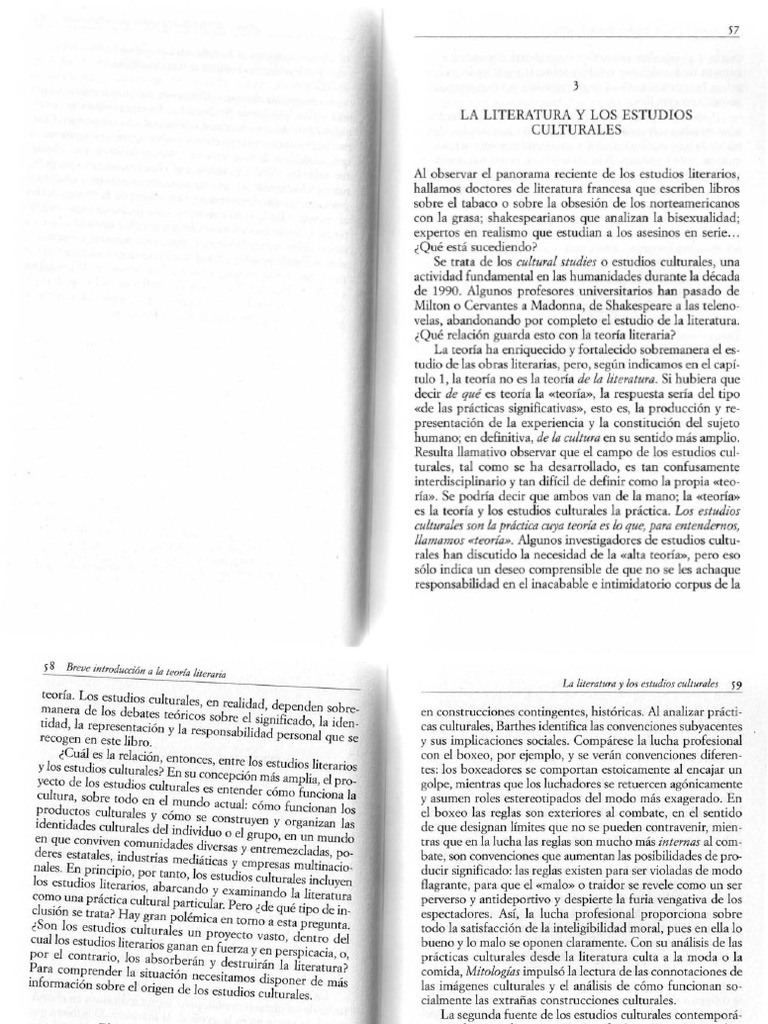 Estudios culturales y teoría literaria | PDF | Teoría | Estudios culturales