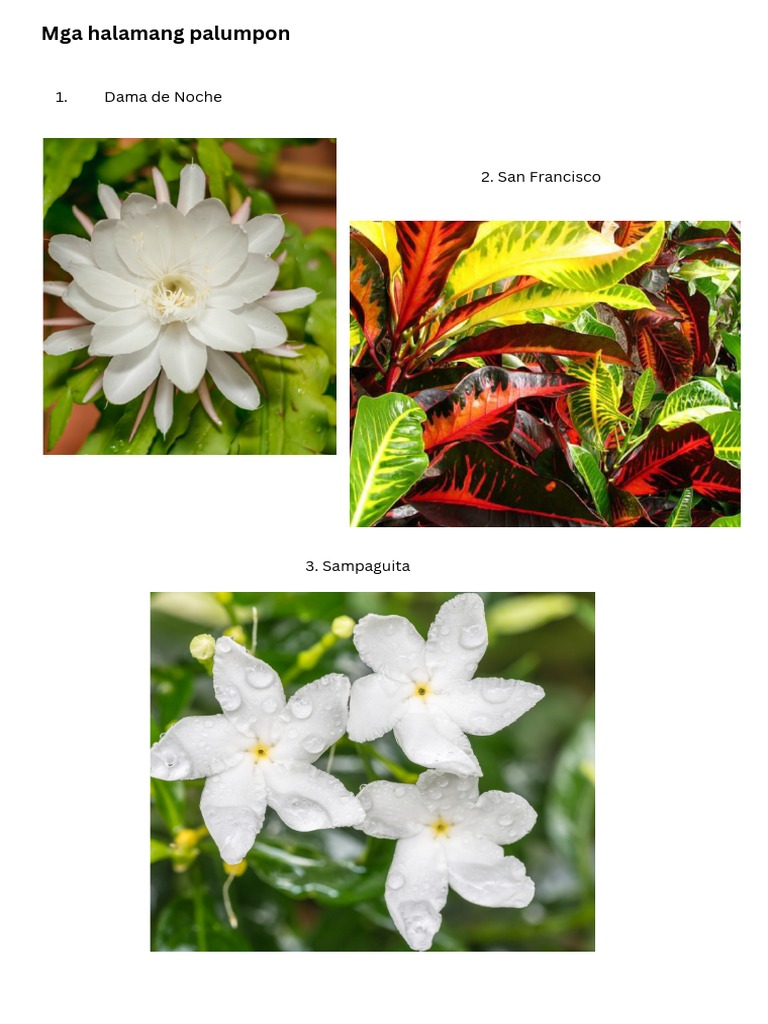 Mga Halamang Namumulaklak | PDF