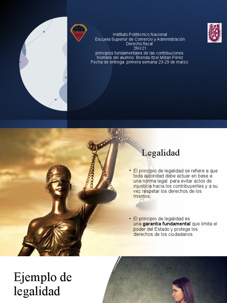 Principios Fundamentales de Las Contribuciones - Millan Perez | PDF ...