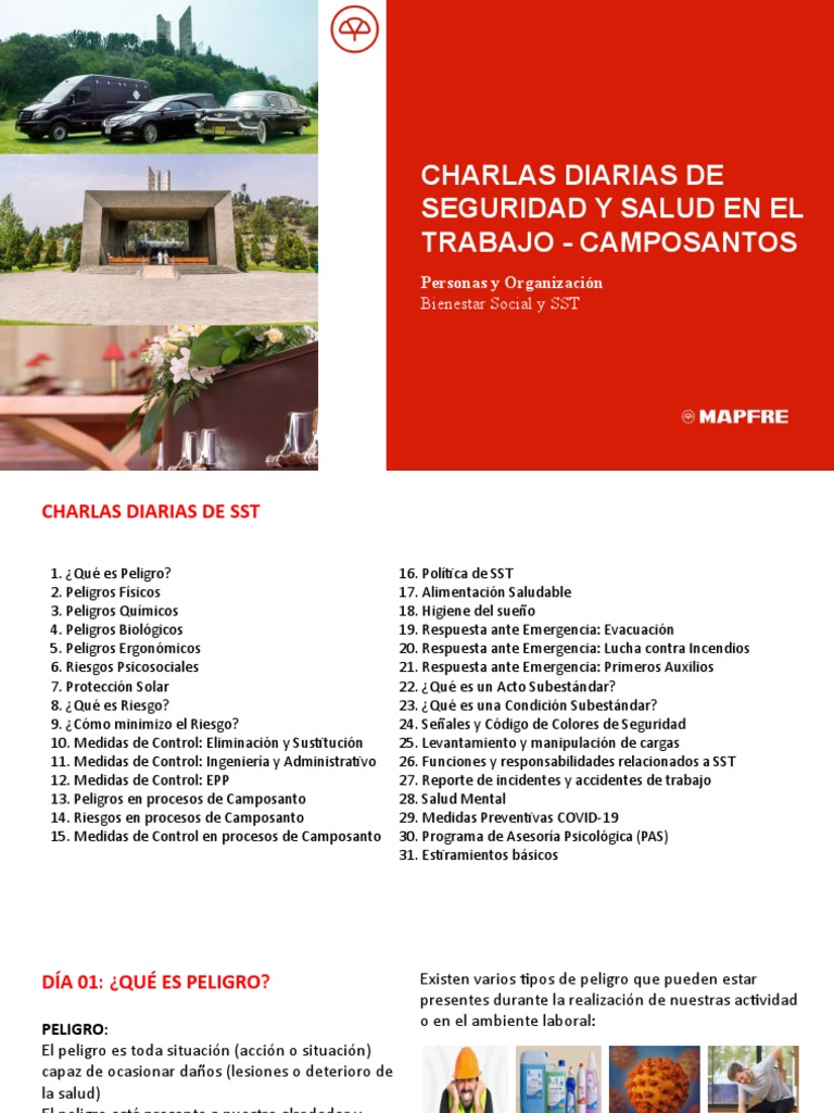 Seguridad y Salud en Camposantos | PDF | Salud mental