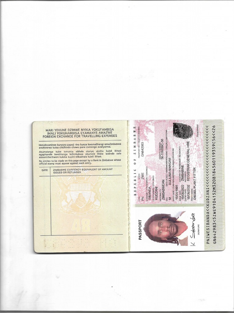 Pasport 1 | PDF