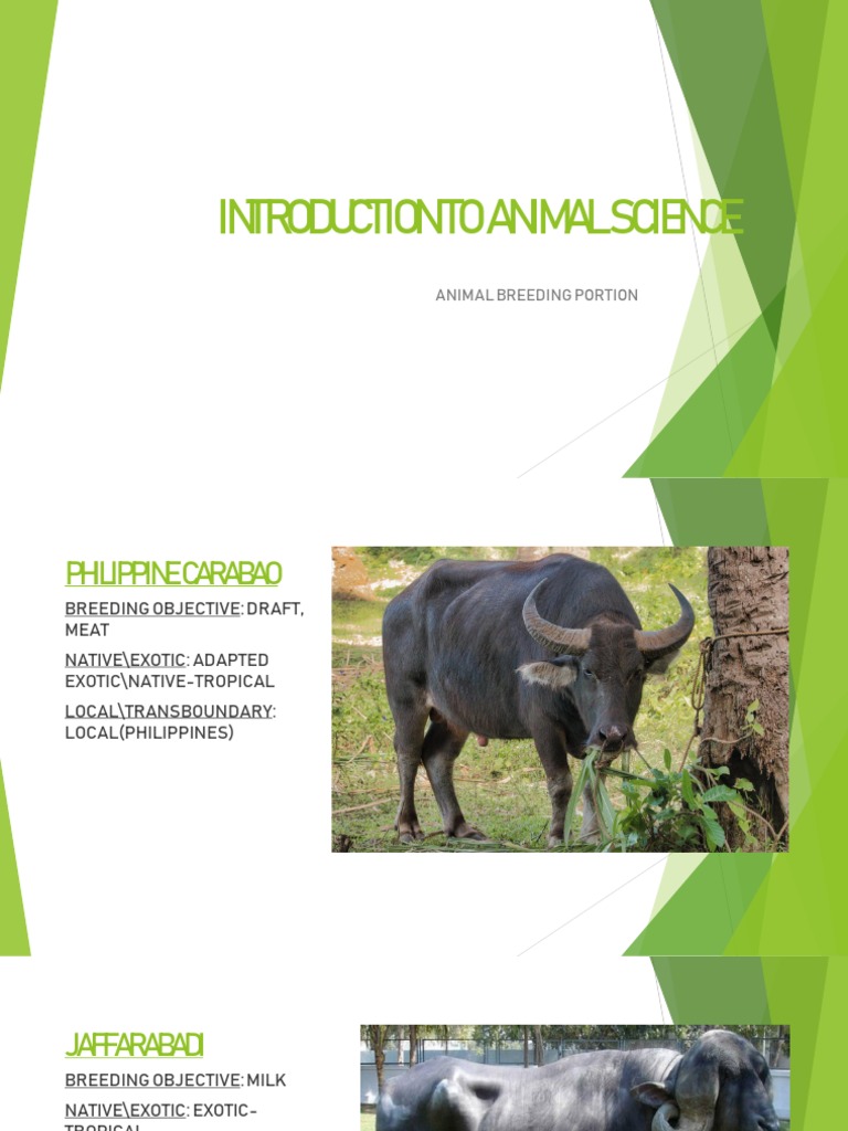 Introduction To Animal Science | PDF
