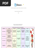 Anatomía de los Músculos Mediales del Muslo | PDF | Extremidades ...