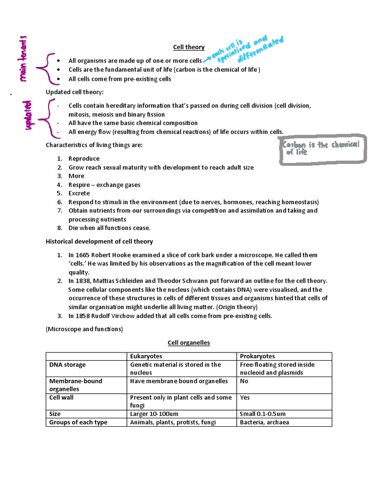 Year 11 Biology Notes | PDF | Enzyme | Cell (Biology)