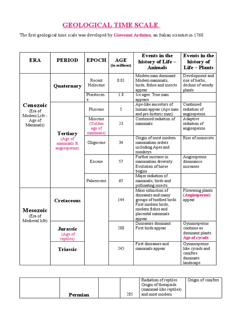 P-27 Geological Time Scale | PDF | Mammals | Geology