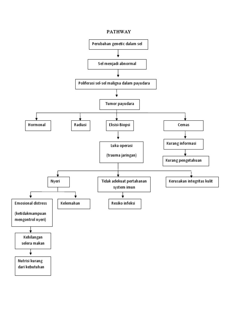 Pathway Tumor Mamae | PDF