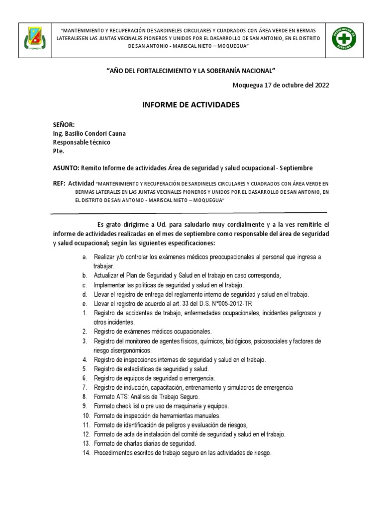 Informe de Actividades de Seguridad | PDF