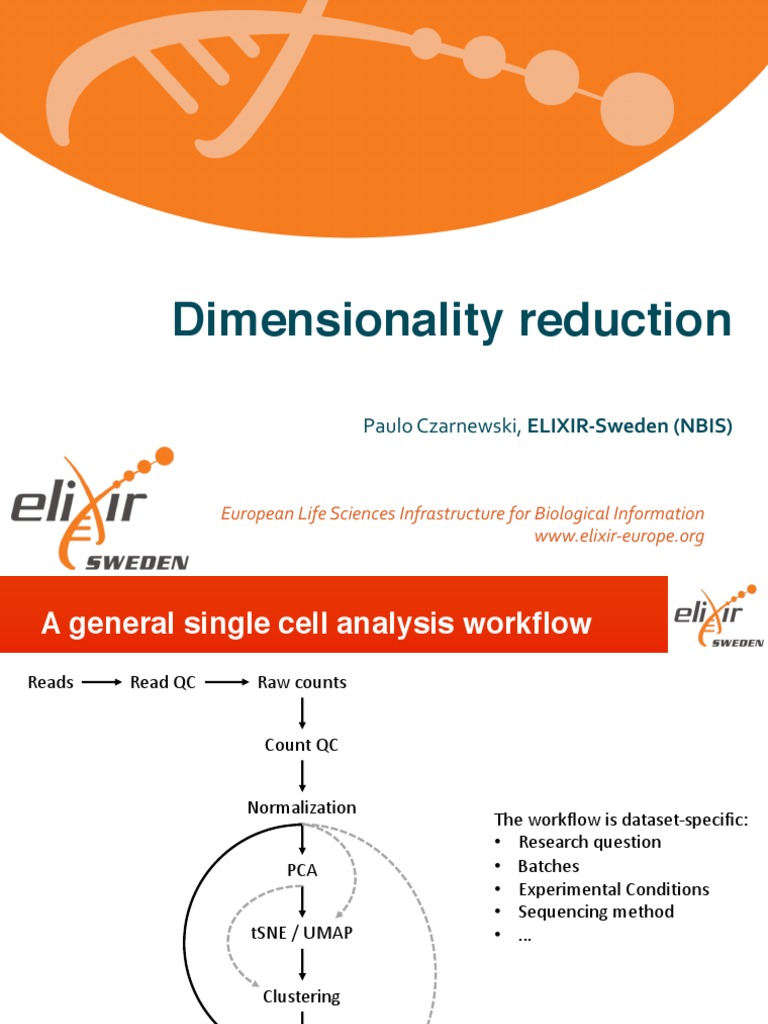 lecture_dimensionality_reduction PPT | PDF | Principal Component ...