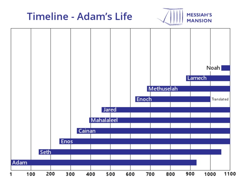 Timeline - Adam's Life | PDF