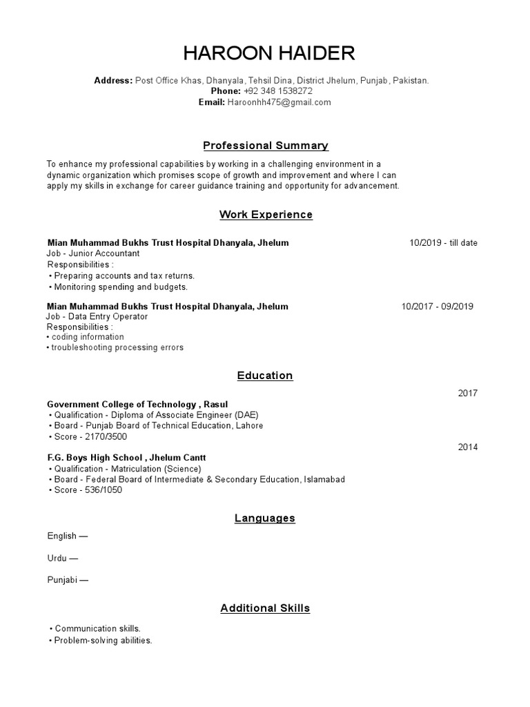 Haroon Haider: Professional Summary | PDF | Career & Growth