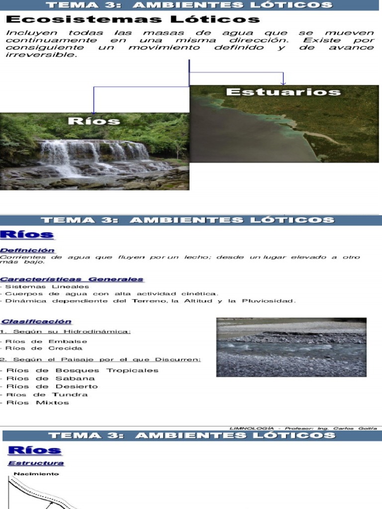 6.3-Ambientes Loticos | PDF
