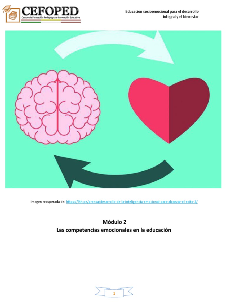 Manual Módulo 2 Educ Soc | PDF | Las emociones | Autorregulación emocional