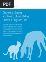 2 IRIS Staging of CKD 2023 | PDF | Blood Pressure | Creatinine