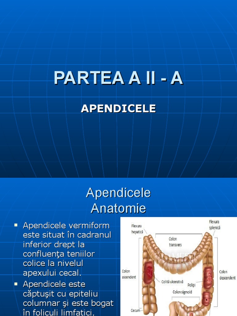 Apendic | PDF