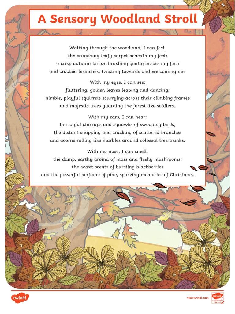 Sensory Poem: Autumn Woodland Walk | PDF | Poetry