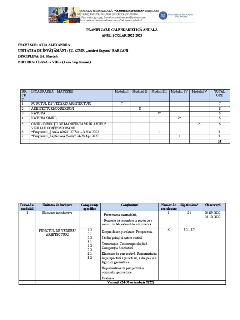 Planificare Ed Plastica VIII | PDF