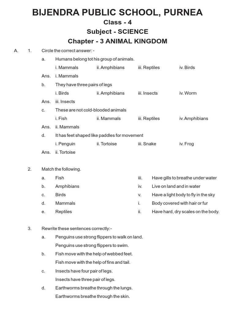 Class 4 Animal Kingdom Worksheet | PDF | Amphibian | Reptile