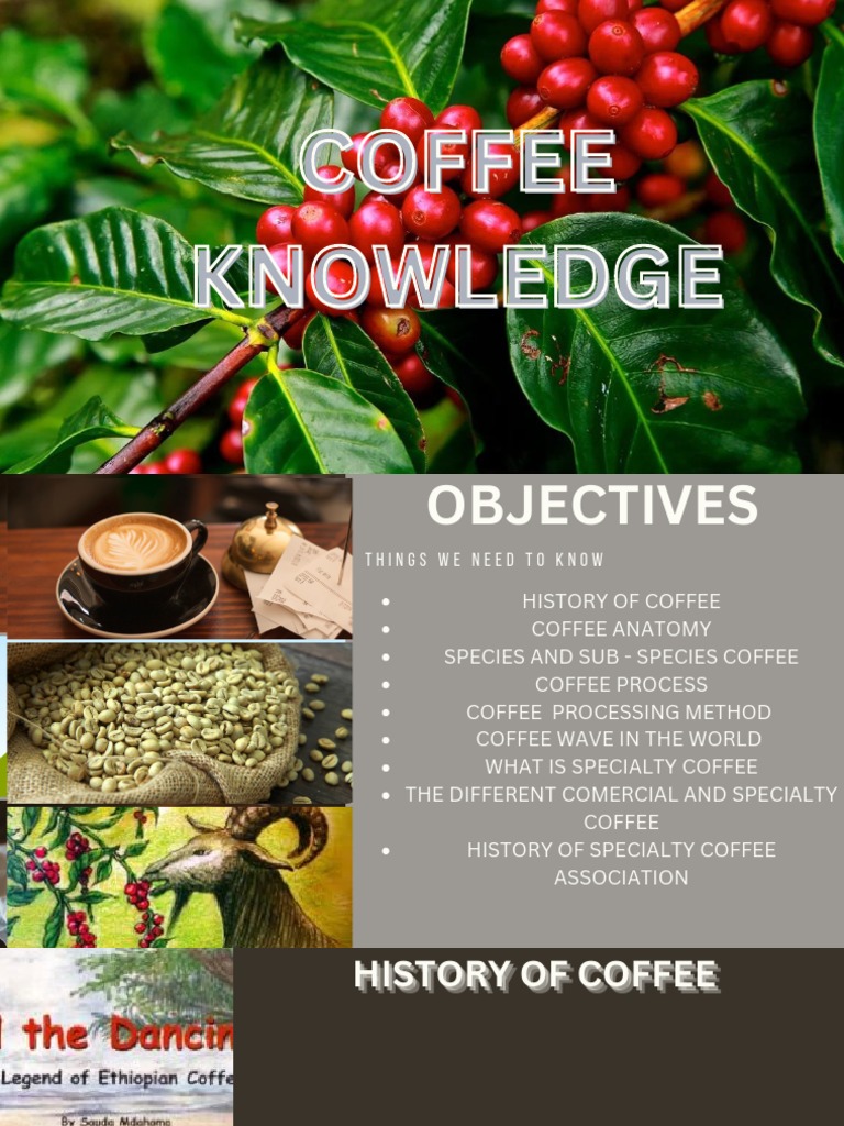 Coffee Knowledge: Anatomy & History | PDF