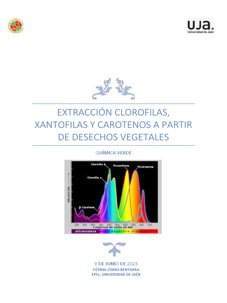 Extracción de Clorofilas | PDF | Cromatografía | Carotenoide