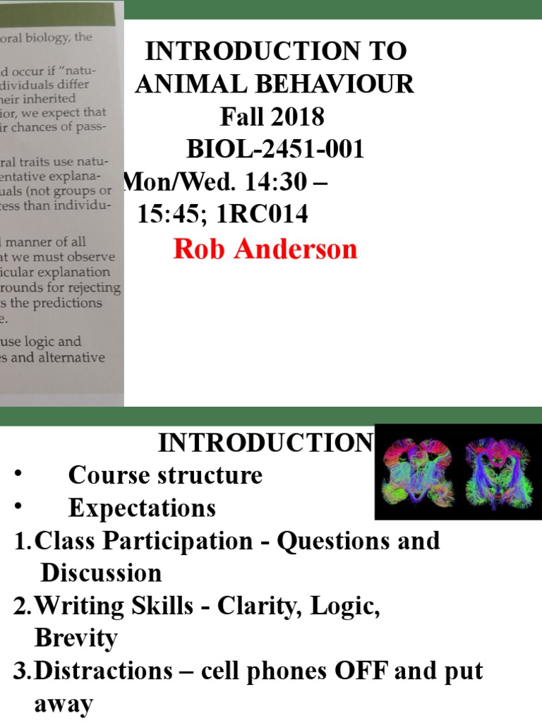 #1 Intro Animal Behaviour | PDF | Natural Selection | Malaria